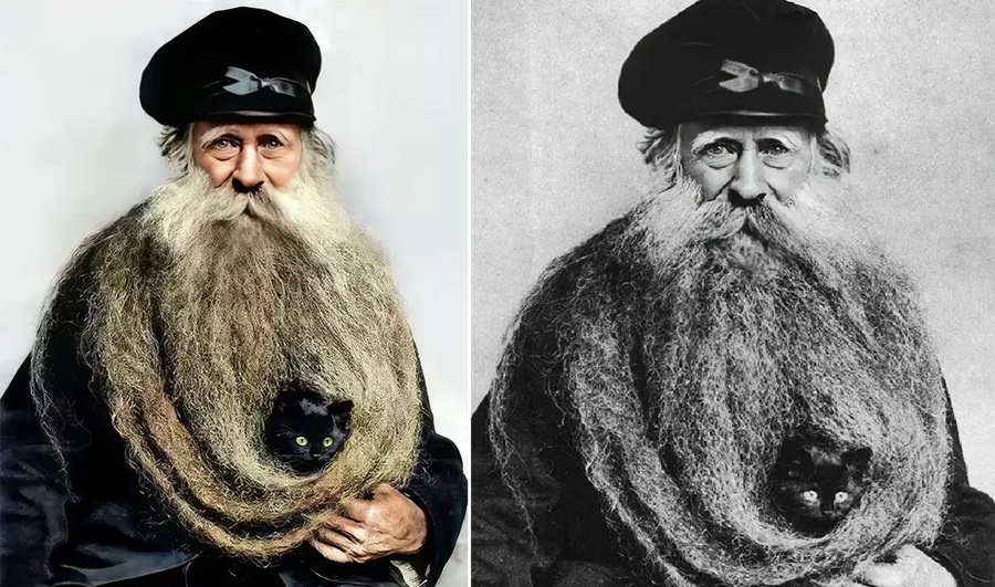 Louis Coulon: The Man with 11-Foot Beard, Which He Used as a Nest for ...
